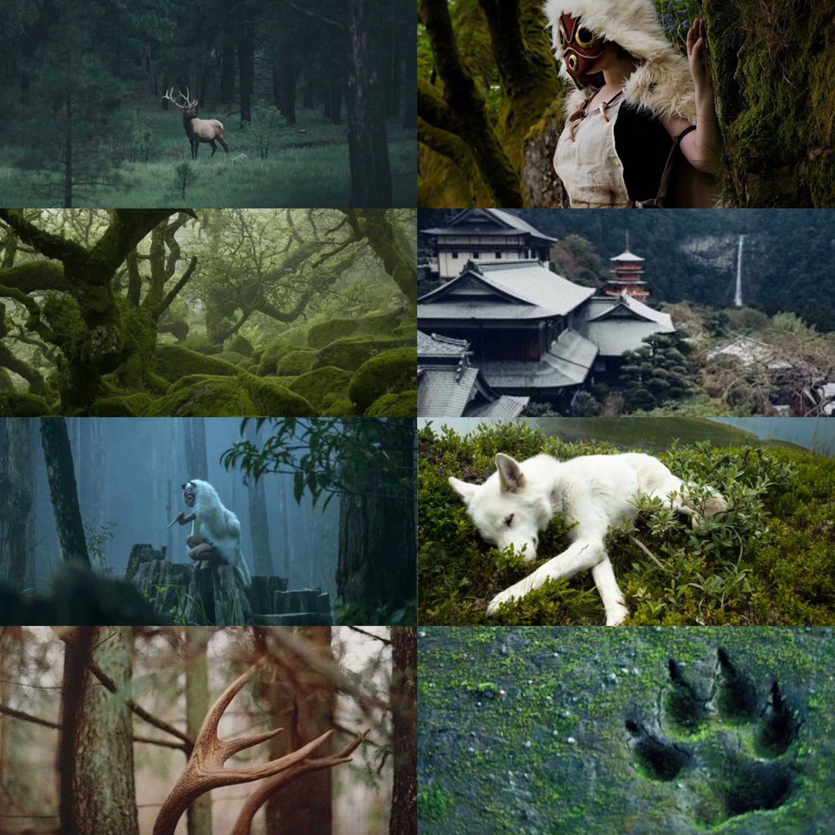 Animated aesthetics-Part 10 | Fandom