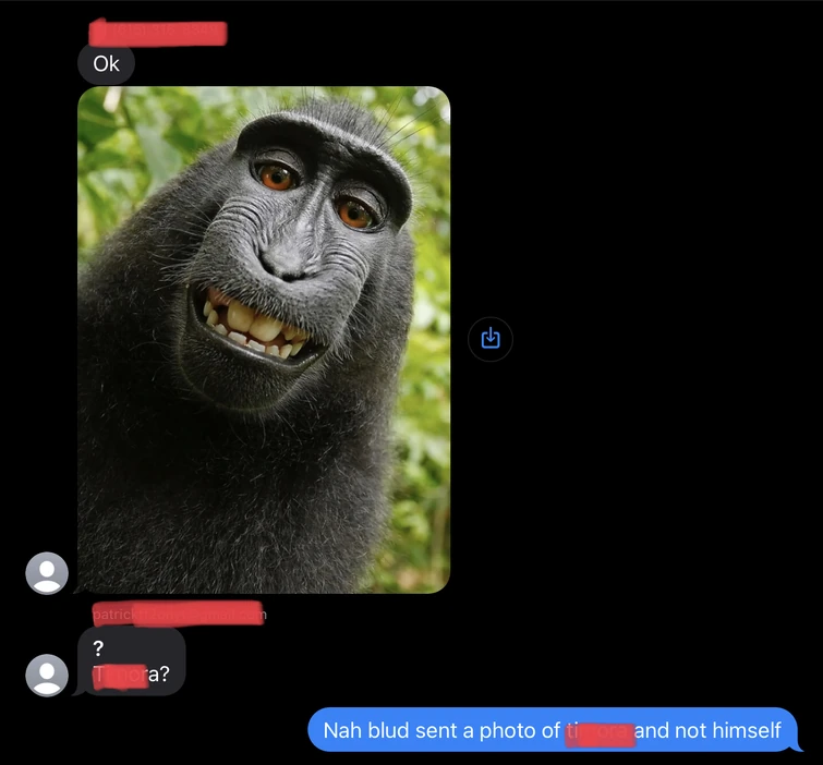 Cursed gc moments | Fandom