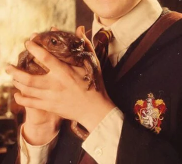 Discuss Everything About Harry Potter Wiki | Fandom