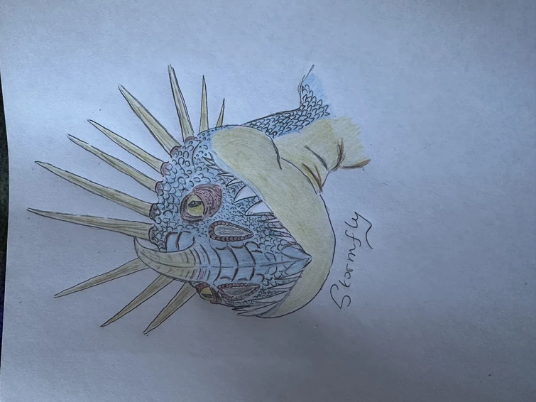 Stormfly Artwork | Fandom