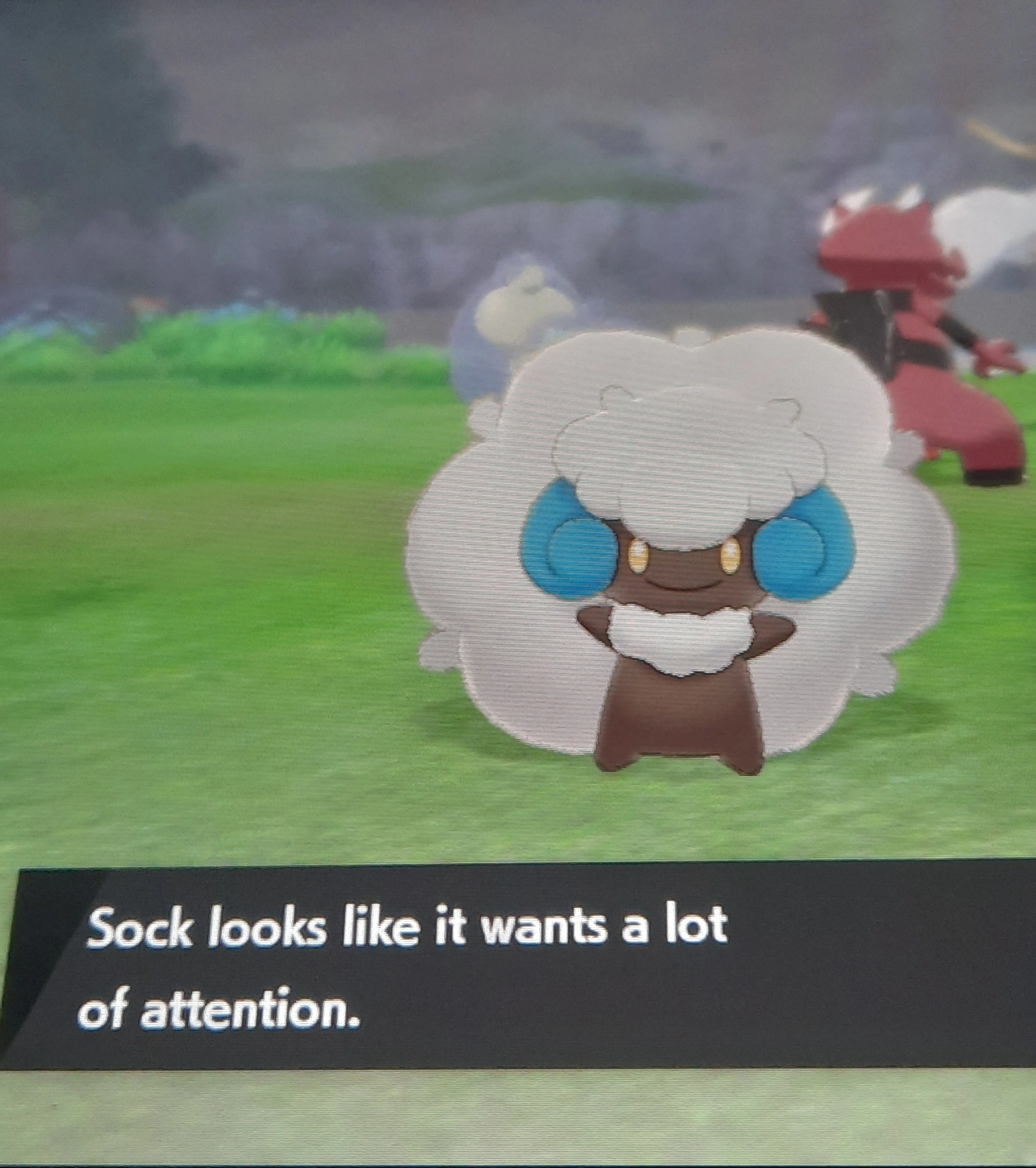 ok soo I woke tf up | Fandom