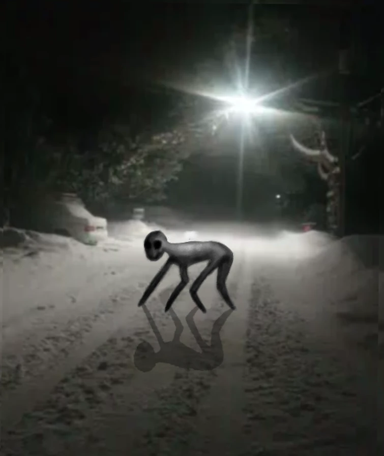 snow walker | Fandom