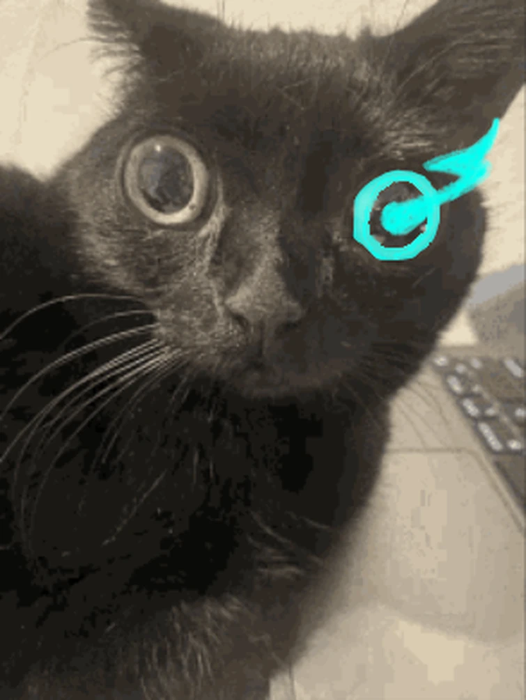 Thank you, Toby. | Fandom