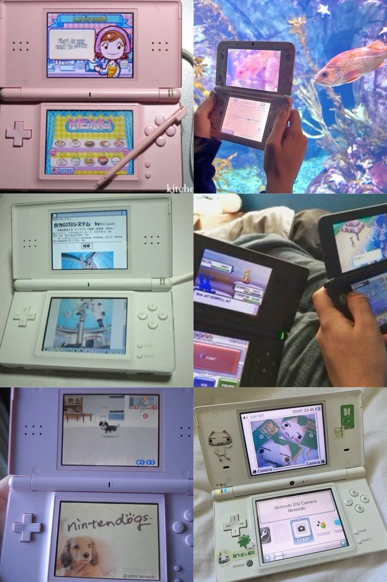 Nintendo DS | Fandom