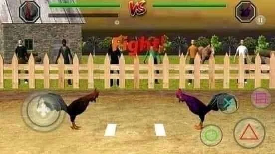 chicken fight | Fandom