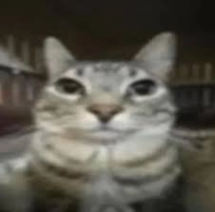 HOW POPULAR AM I | Fandom