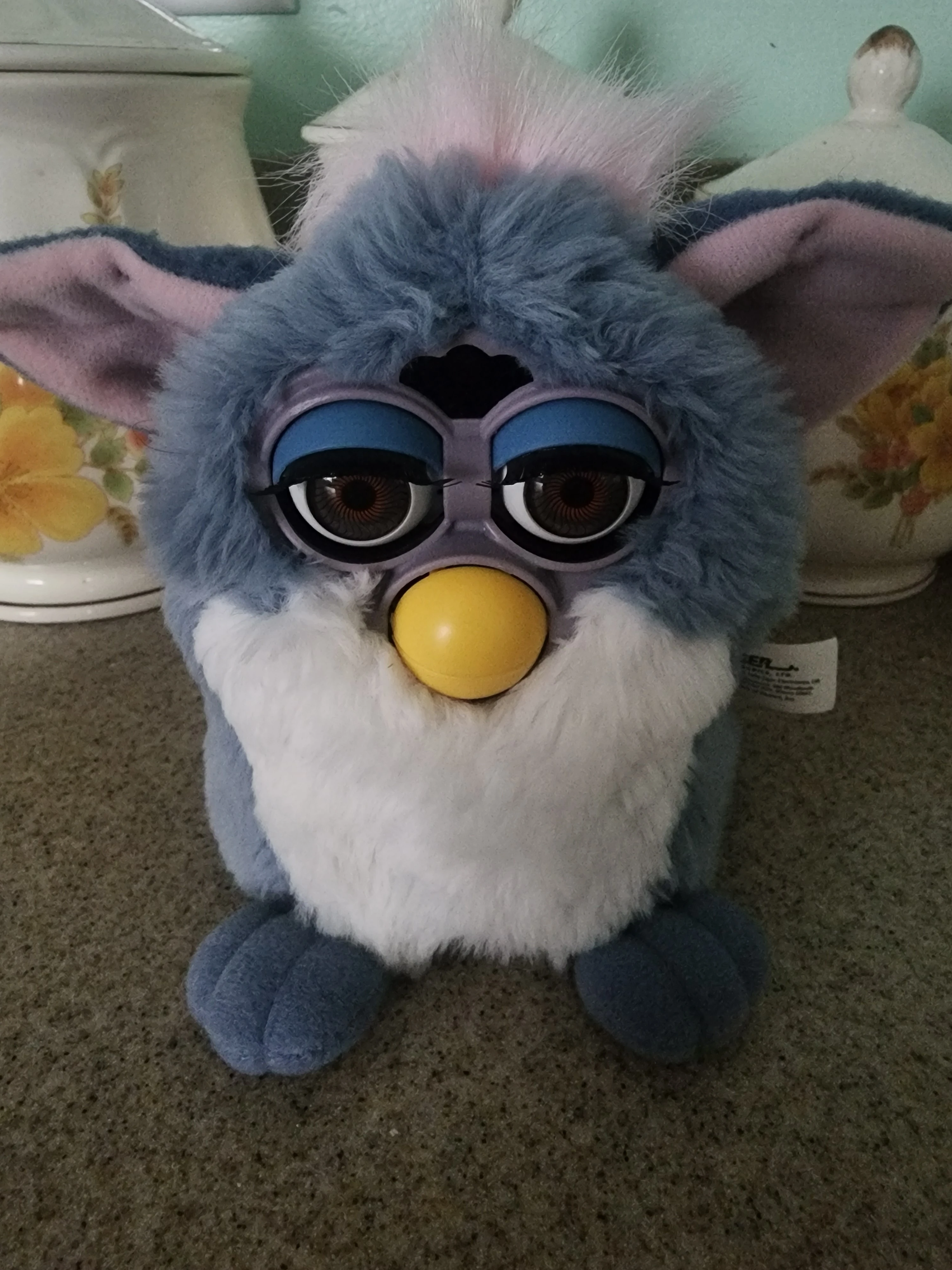 Look at my new furby! | Fandom