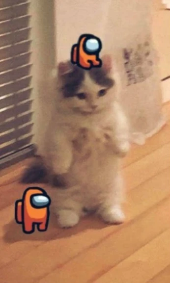 Gente pase link | Fandom