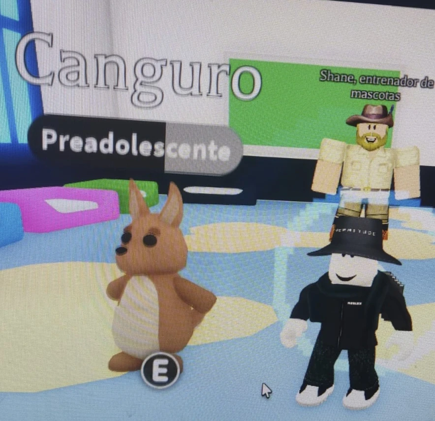 First Photo of My Kangaroo Cani | Fandom