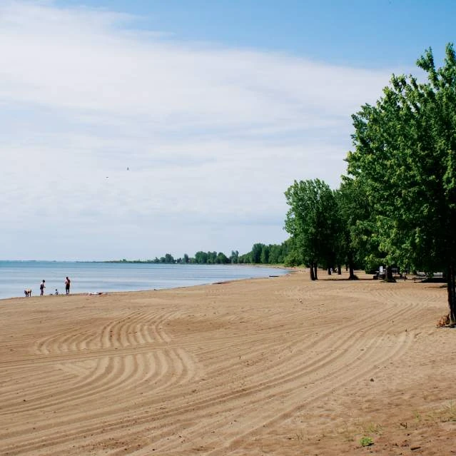 Bfdi wiki beach time | Fandom