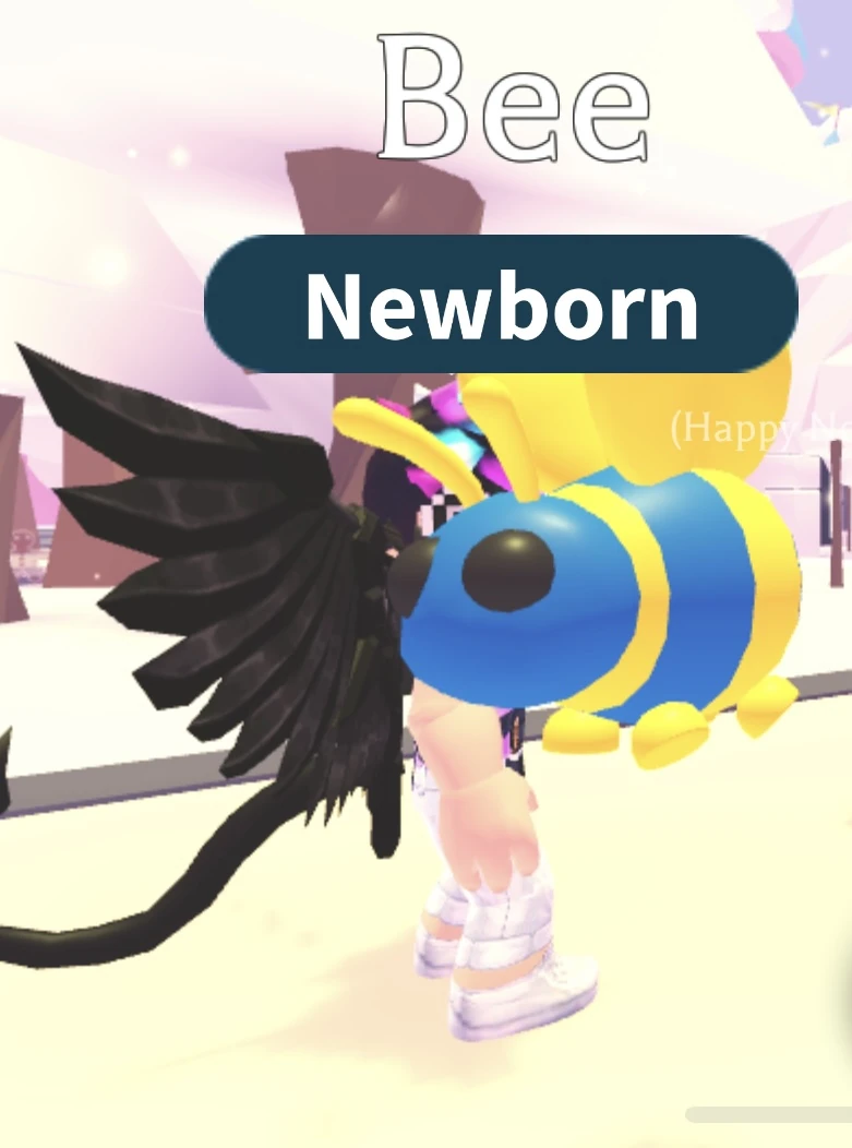 “Queen Bee” | Fandom