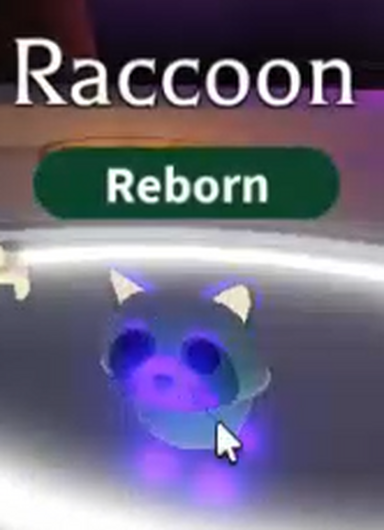 trading a np neon raccoon if anyone's interested :) | Fandom