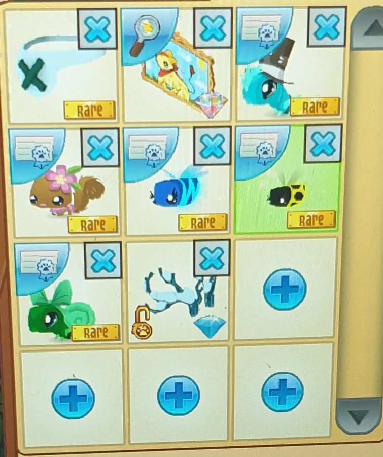 Discuss Everything About Animal Jam Item Worth Wiki | Fandom