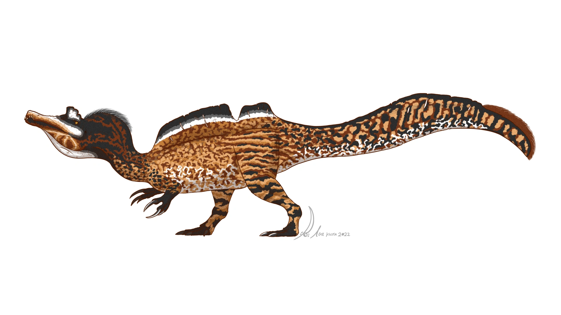 Icthyovenator | Fandom