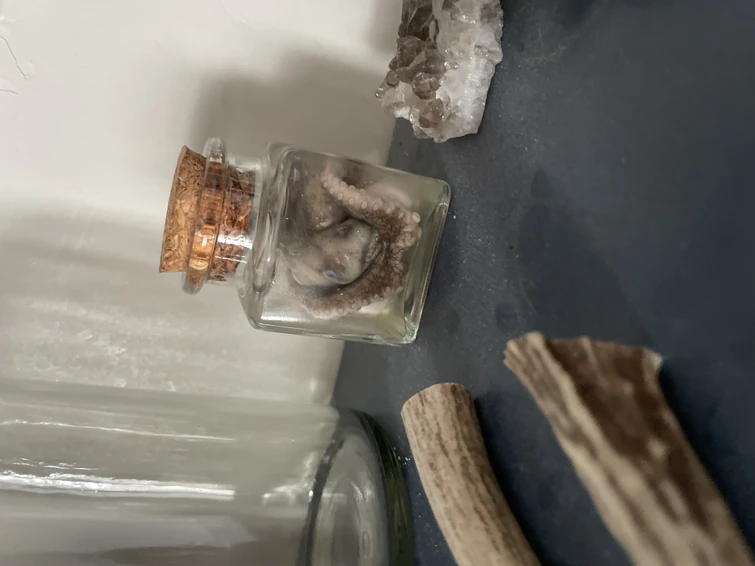 Discuss Everything About Wings of Fire Wiki | Fandom