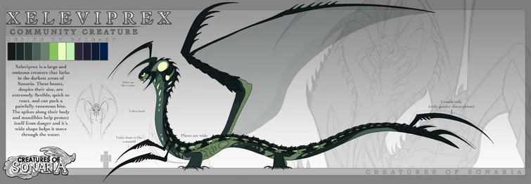 Discuss Everything About Creatures of Sonaria Wiki | Fandom
