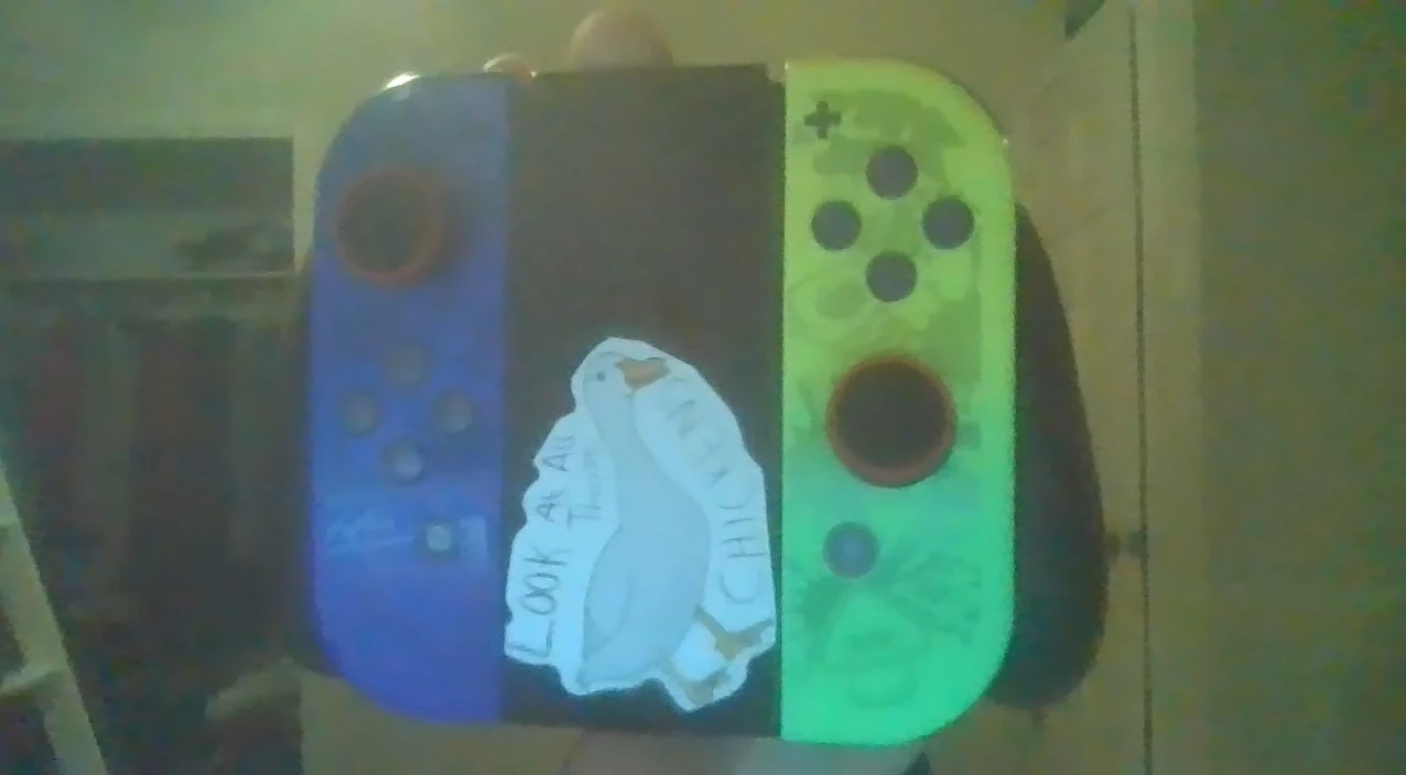 Splatoon joy-cons + Olive sweatshirt (KRIMA!!!) | Fandom