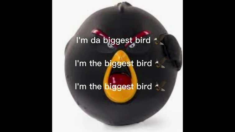 IM THE BIGGEST BIRD IM THE BIGGEST BIRD 🦅🦅🦅 | Fandom