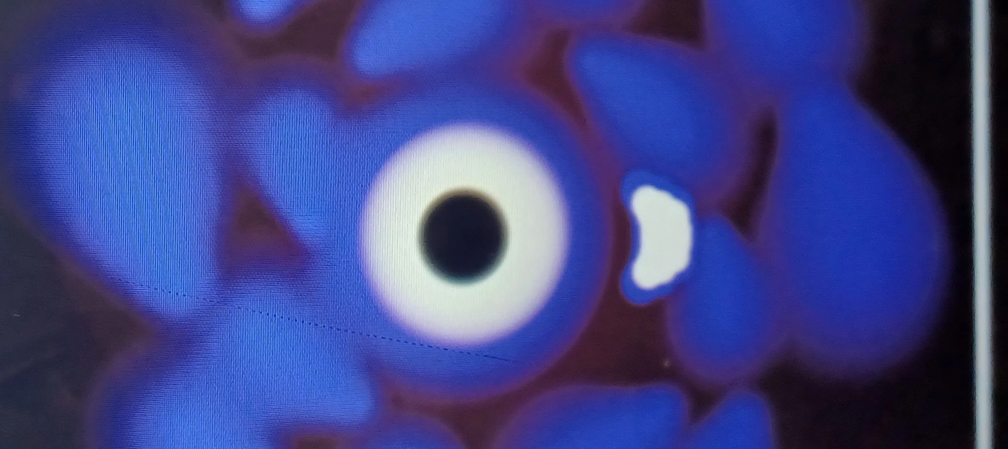 Update lookin sick | Fandom