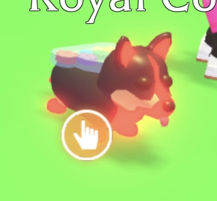 i just saw a mega royal corgi.. | Fandom