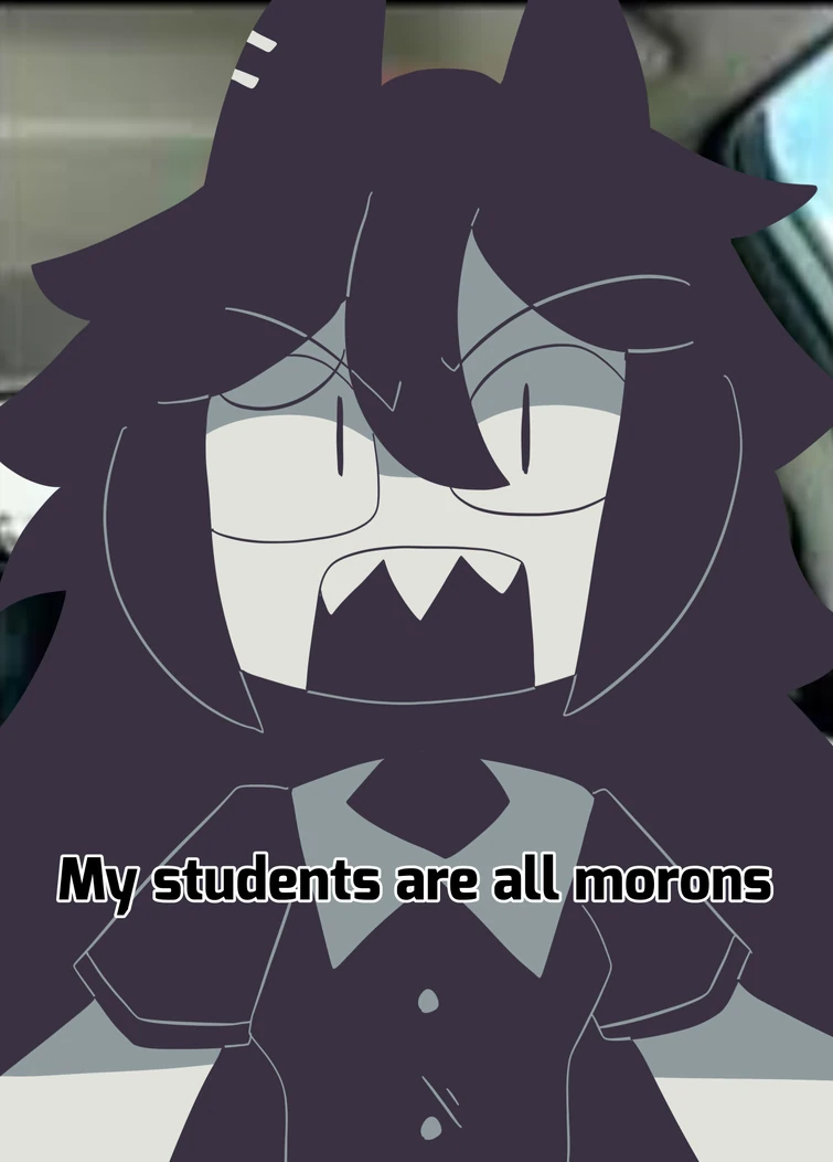 MY STUDENTS ARE ALL MORONS | Fandom