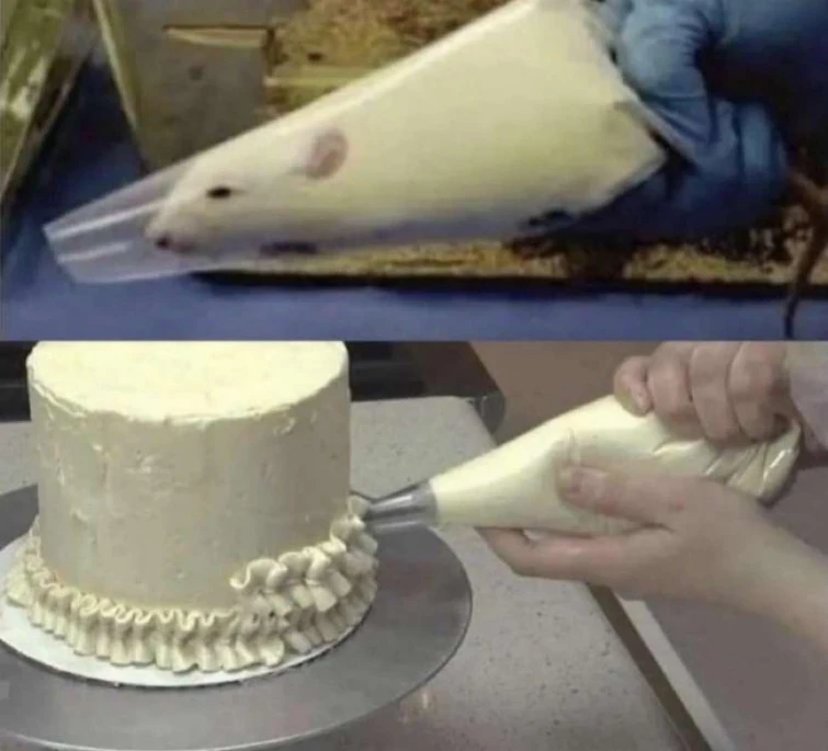 Amazing Wedding Cake collection | Fandom