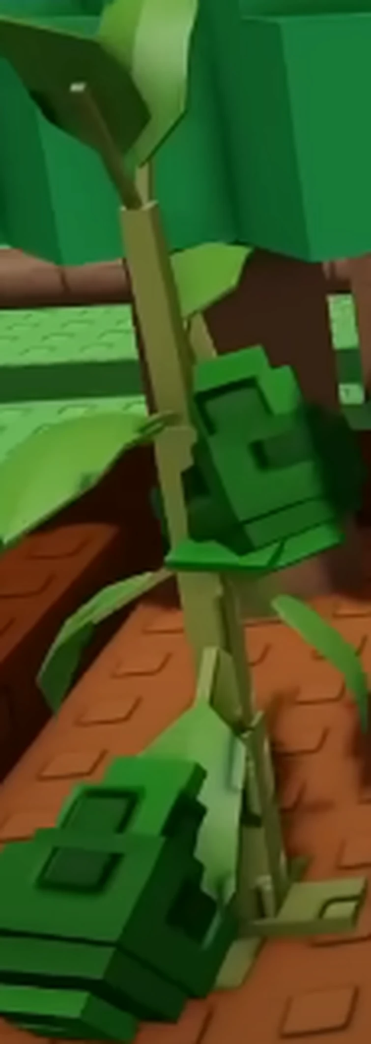 ADMIN SEEDS WITH PICTURES!!! | Fandom