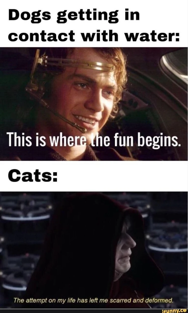 🤣 [Meme Of The Week Contest] Round 191 | Fandom