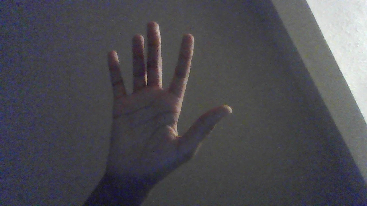 alright guys heres the epic hand reveal i promised!! | Fandom
