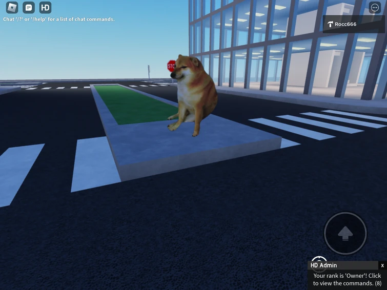 Fixed some stuff for find cheems. | Fandom