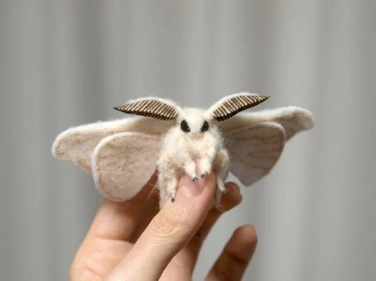 Cute moths to brighten up your day | Fandom