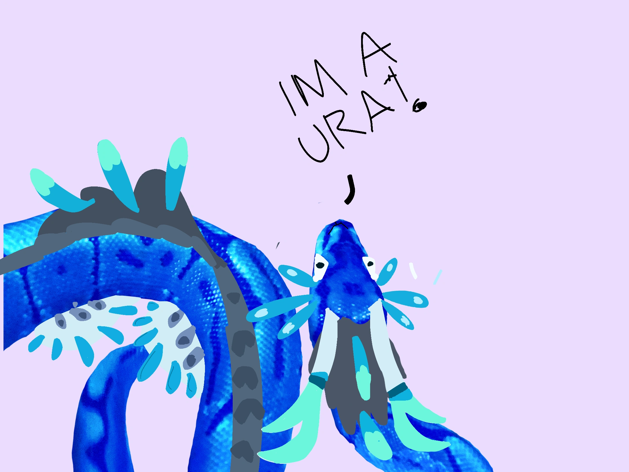 More snuras (snake - Ura ) | Fandom