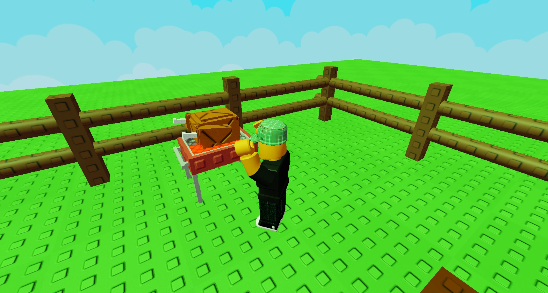 BROO NOO THIS POOR OWL | Fandom