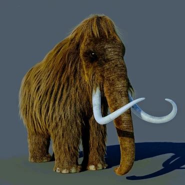 Discuss Everything About Dinopedia | Fandom