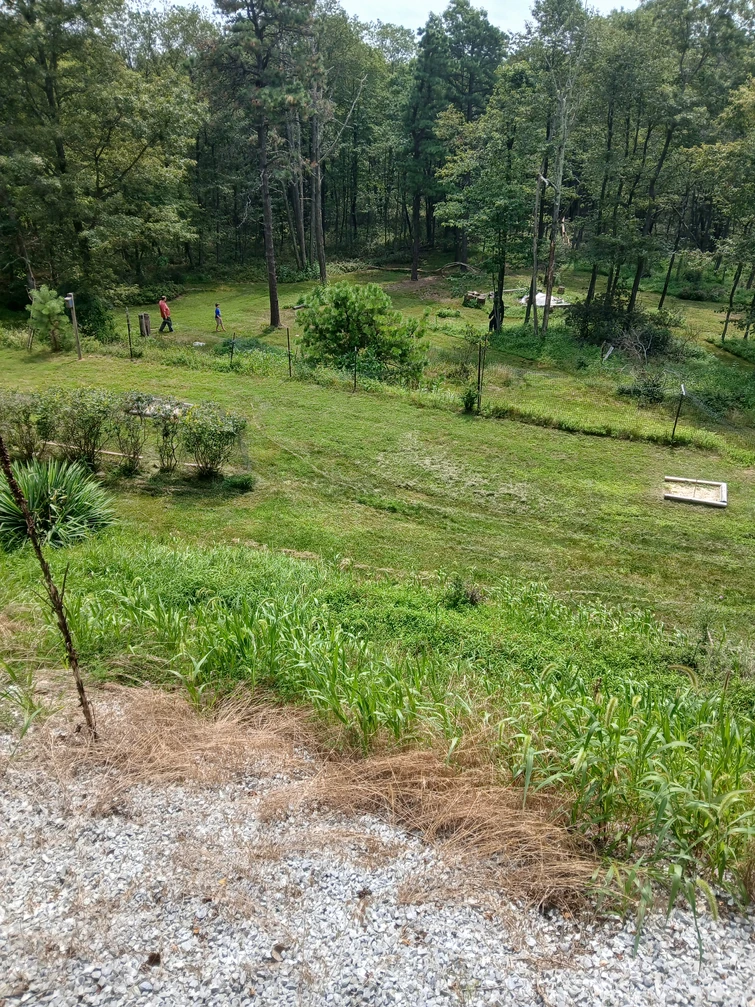 Discuss Everything About Daybreak Wiki | Fandom