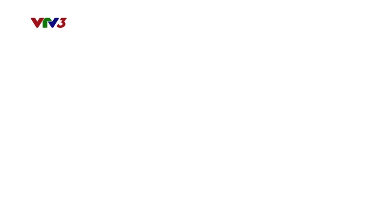 Discuss Everything About Wikia Logos | Fandom