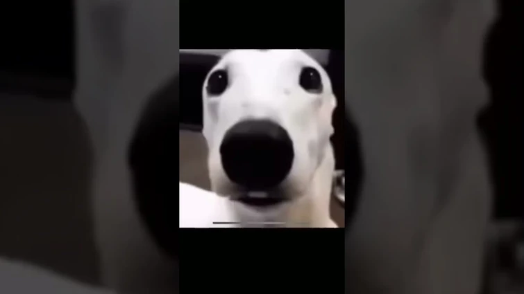 Me when temisgamer123 X ben | Fandom