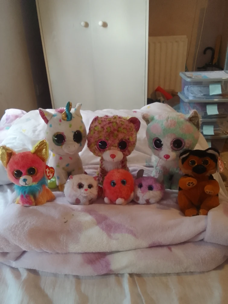 My Beanie Boos collection so far | Fandom