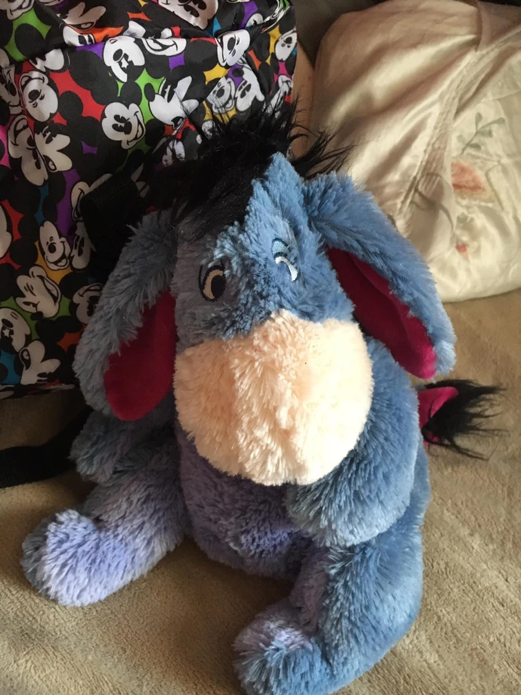 I’m a huge Eeyore fan and he my favourite | Fandom