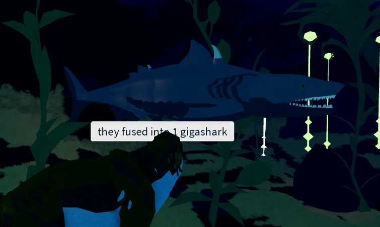 HOLY SHARK | Fandom