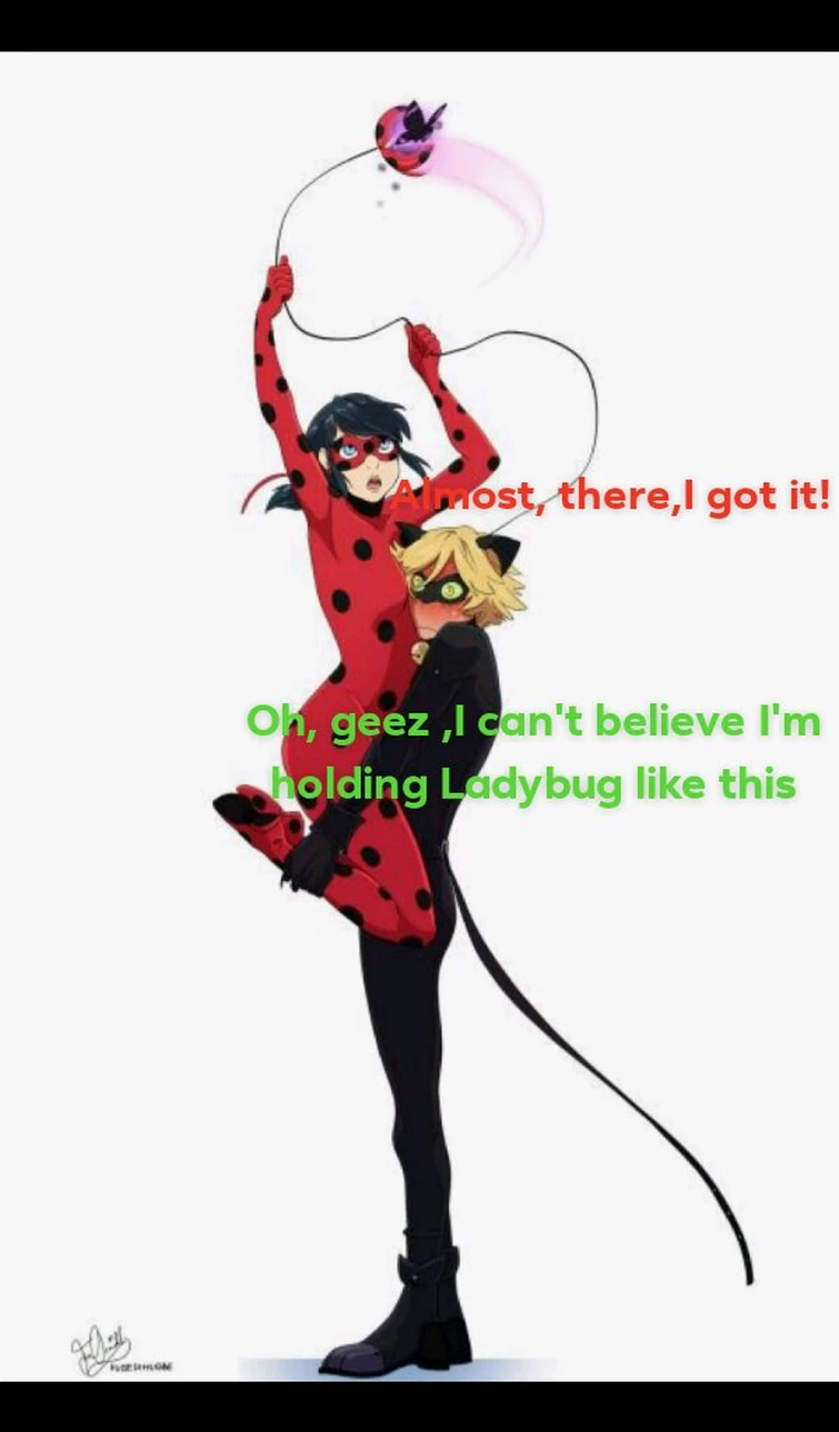 What Cat thinks when helping Ladybug catch an akuma | Fandom