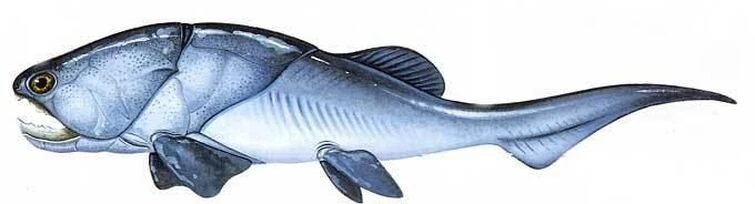 Daily prehistoric animals | Fandom