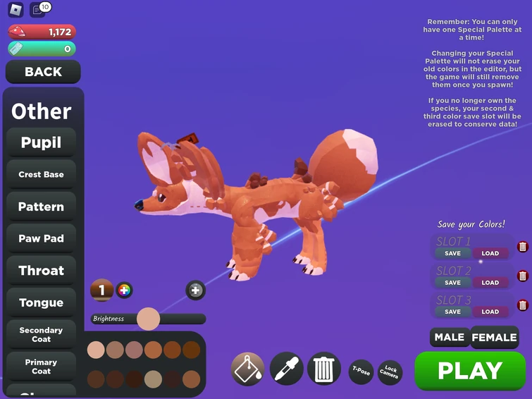 Traveler Rukig (Shiba Inu skin) Art & Stuff | Fandom