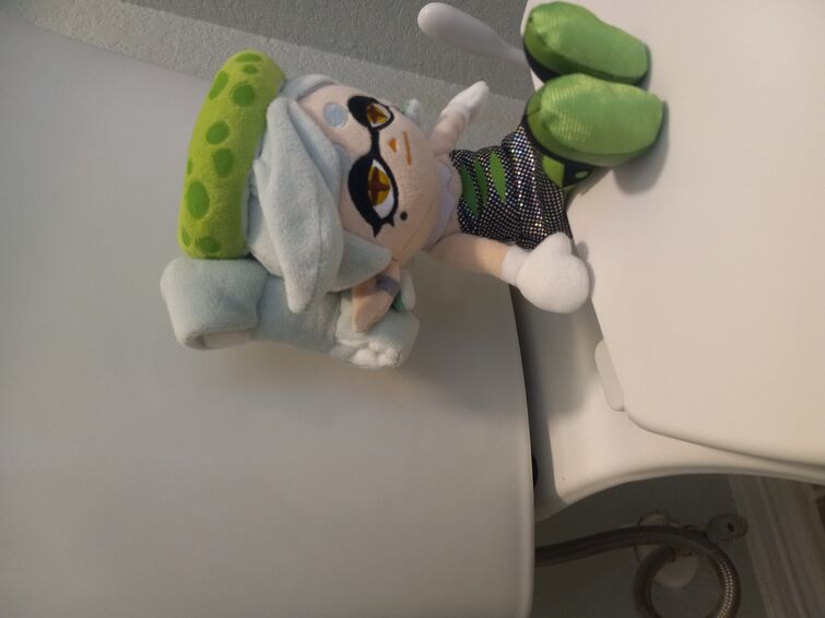 Marie plush photos I took to make u happy after losing | Fandom