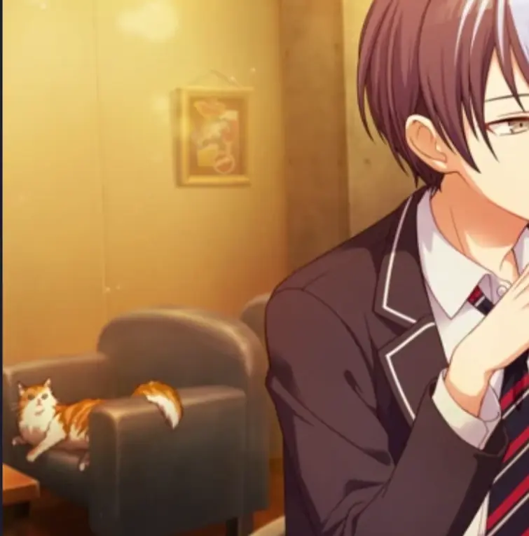 Toya cat appreciation (repost) | Fandom