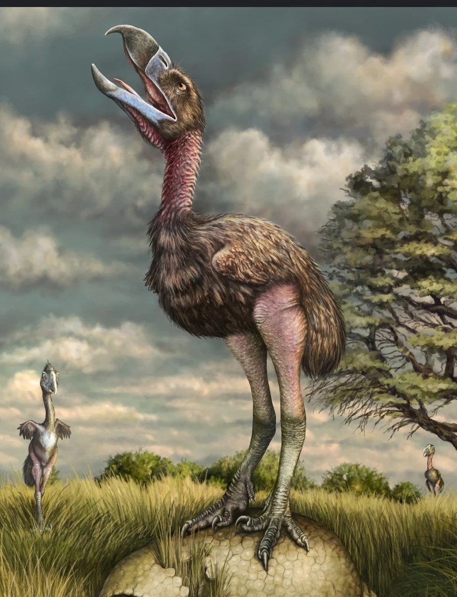 Petition for terror bird creature | Fandom