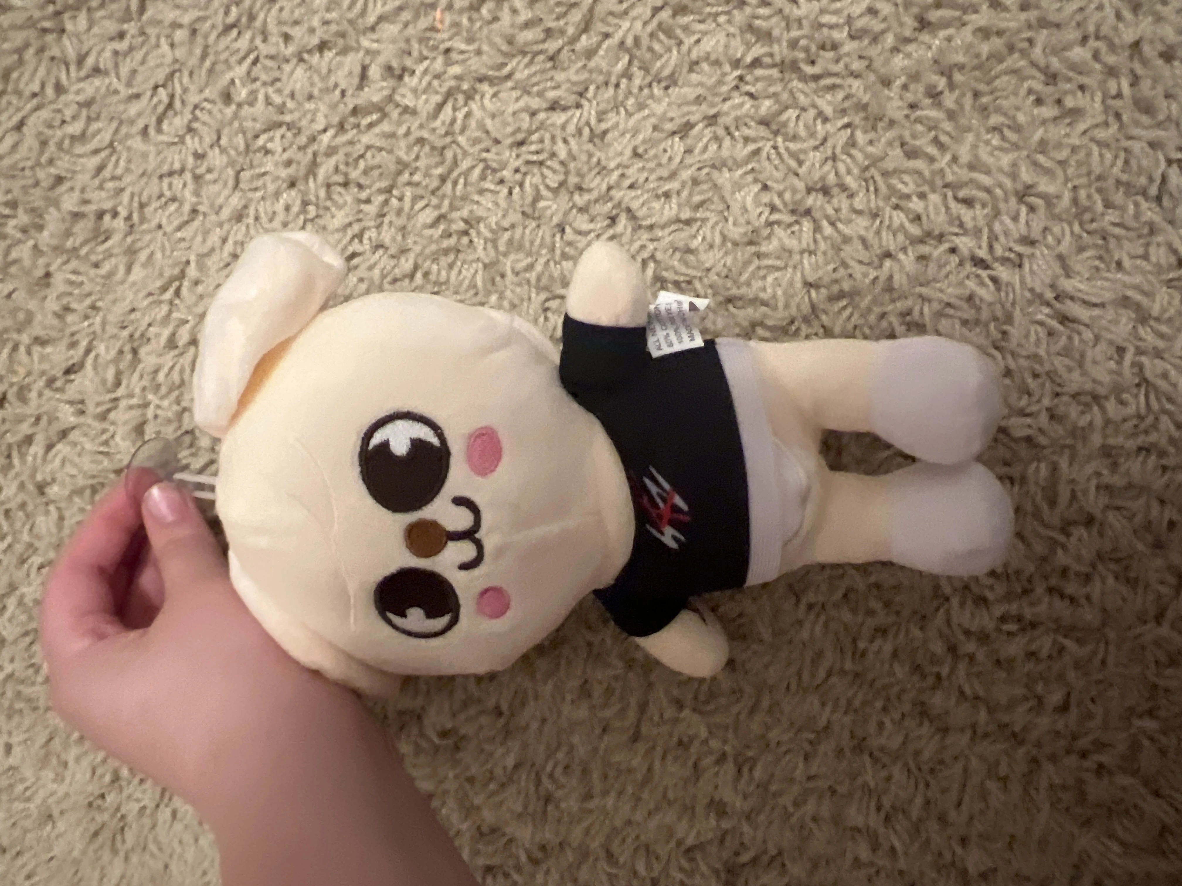 MY MOM BOUGHT ME A SKZOO ️ ️ | Fandom