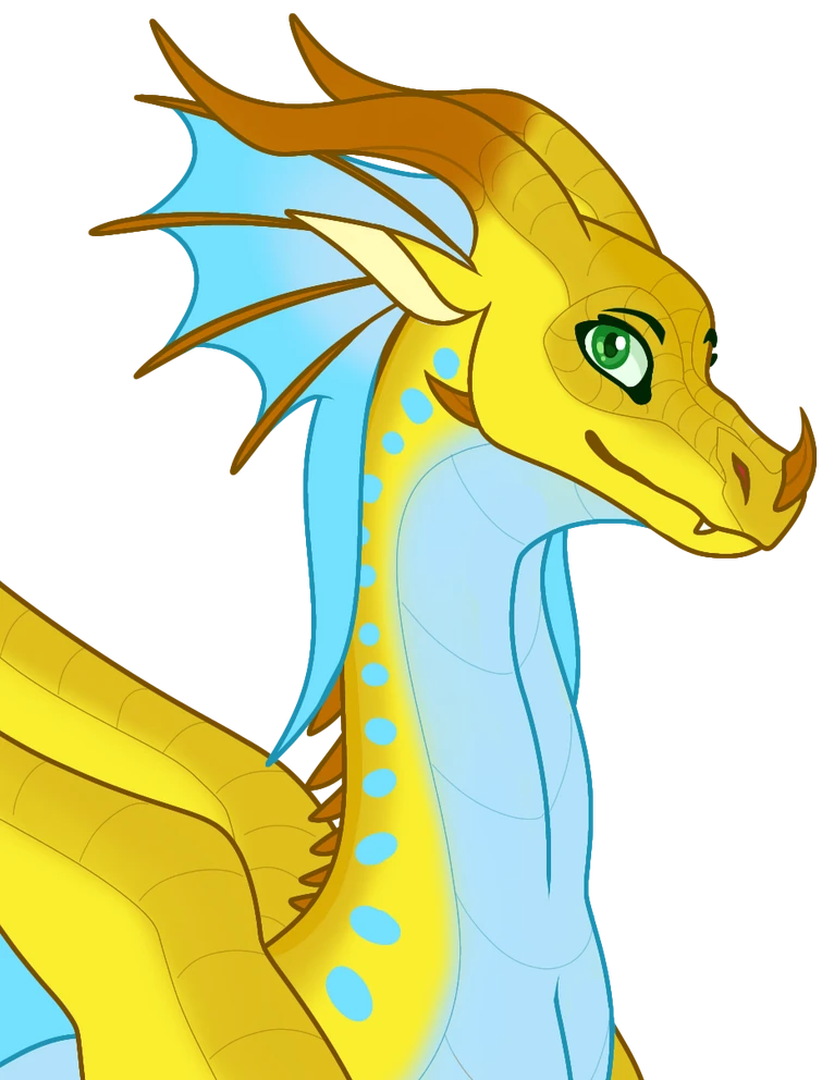 Name ideas??? | Fandom