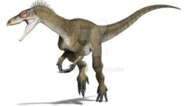 Name the dinosaur (raptor) UWU | Fandom