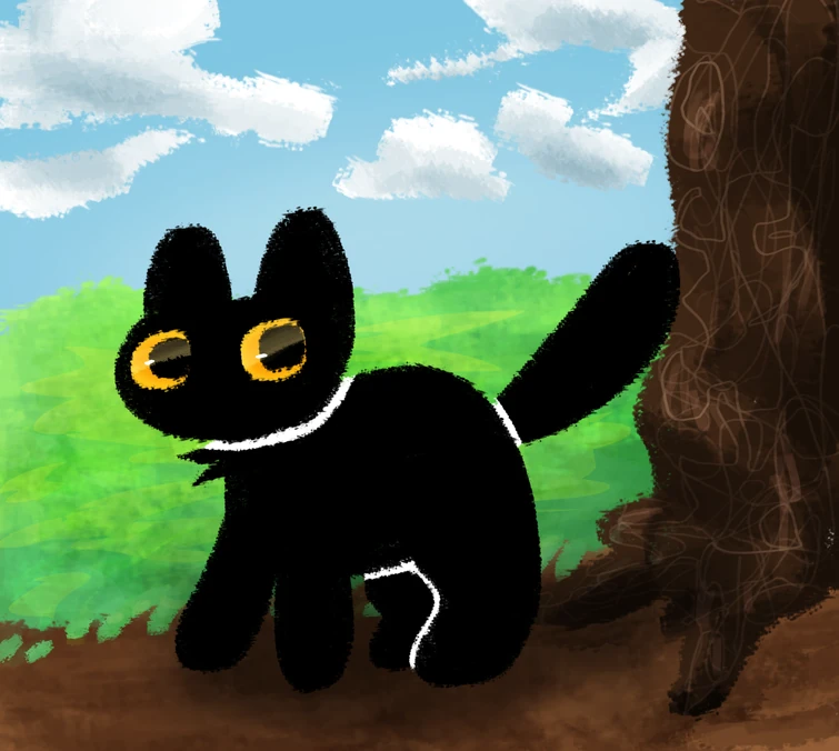 catcore is love catcore is life | Fandom